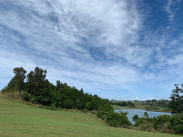 Dicky Barrett and Wakaiwa Rāwinia, 1807 – 1849 | Barrett Honeyfield Te ...